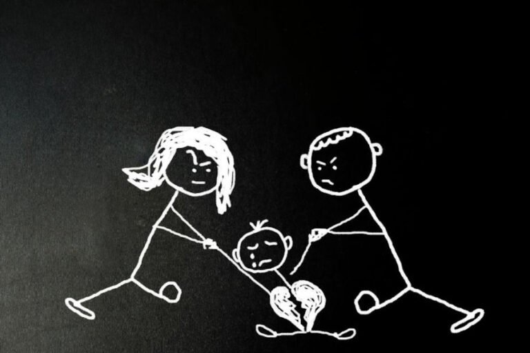The California Parent's Guide to Managing High-Conflict Child Custody ...